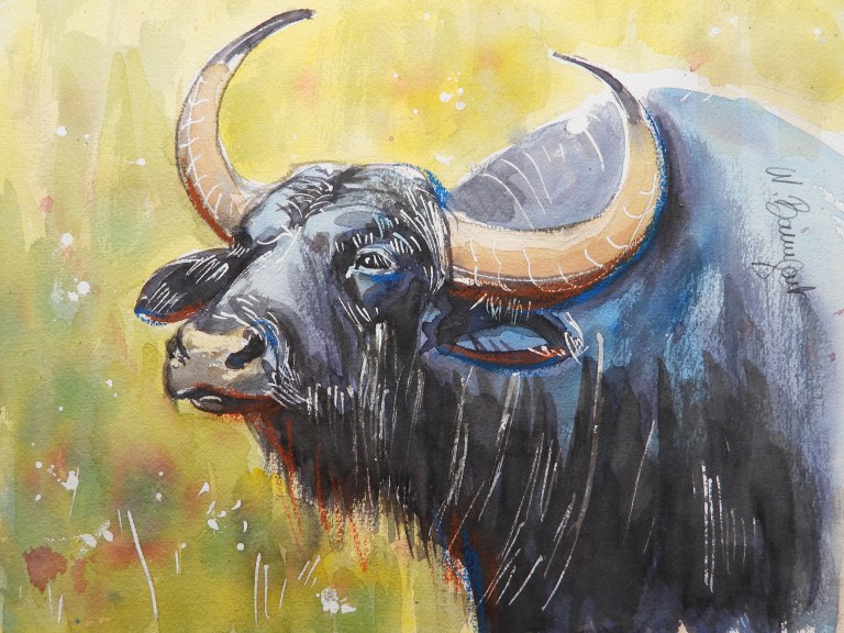 Aquarelle – Aquarelles – Watercolours | Art blog - Nadia Baumgart